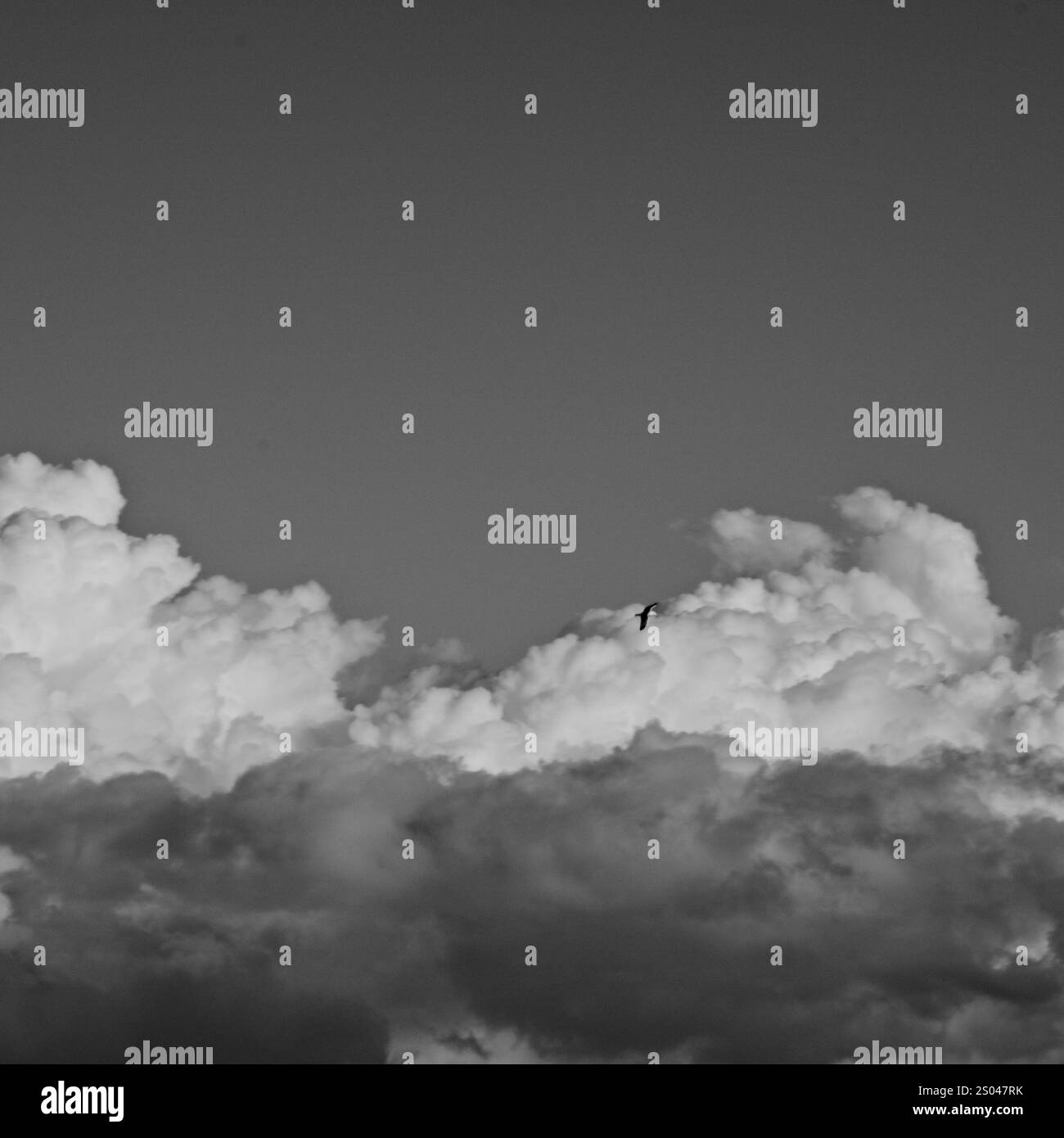 Beautiful cumulus clouds on Black and White Stock Photos & Images - Alamy