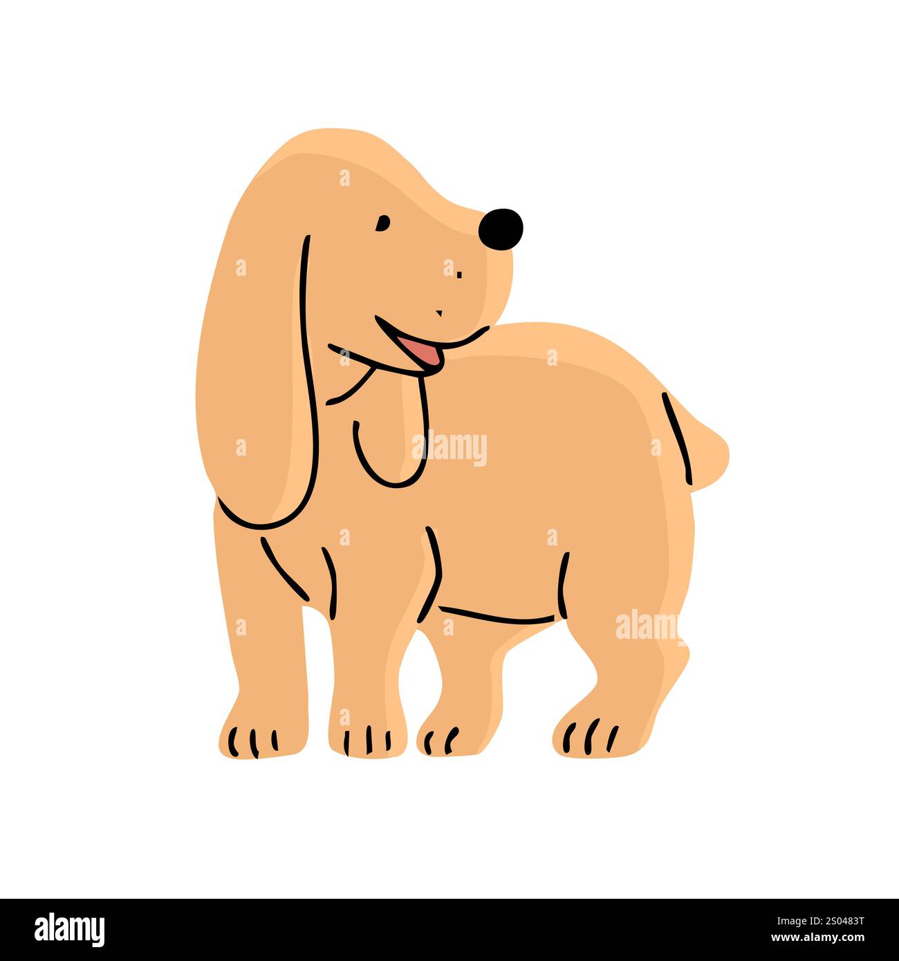 Cute spaniel dog. A pet is a friend. Little cheerful puppy. Animal ...