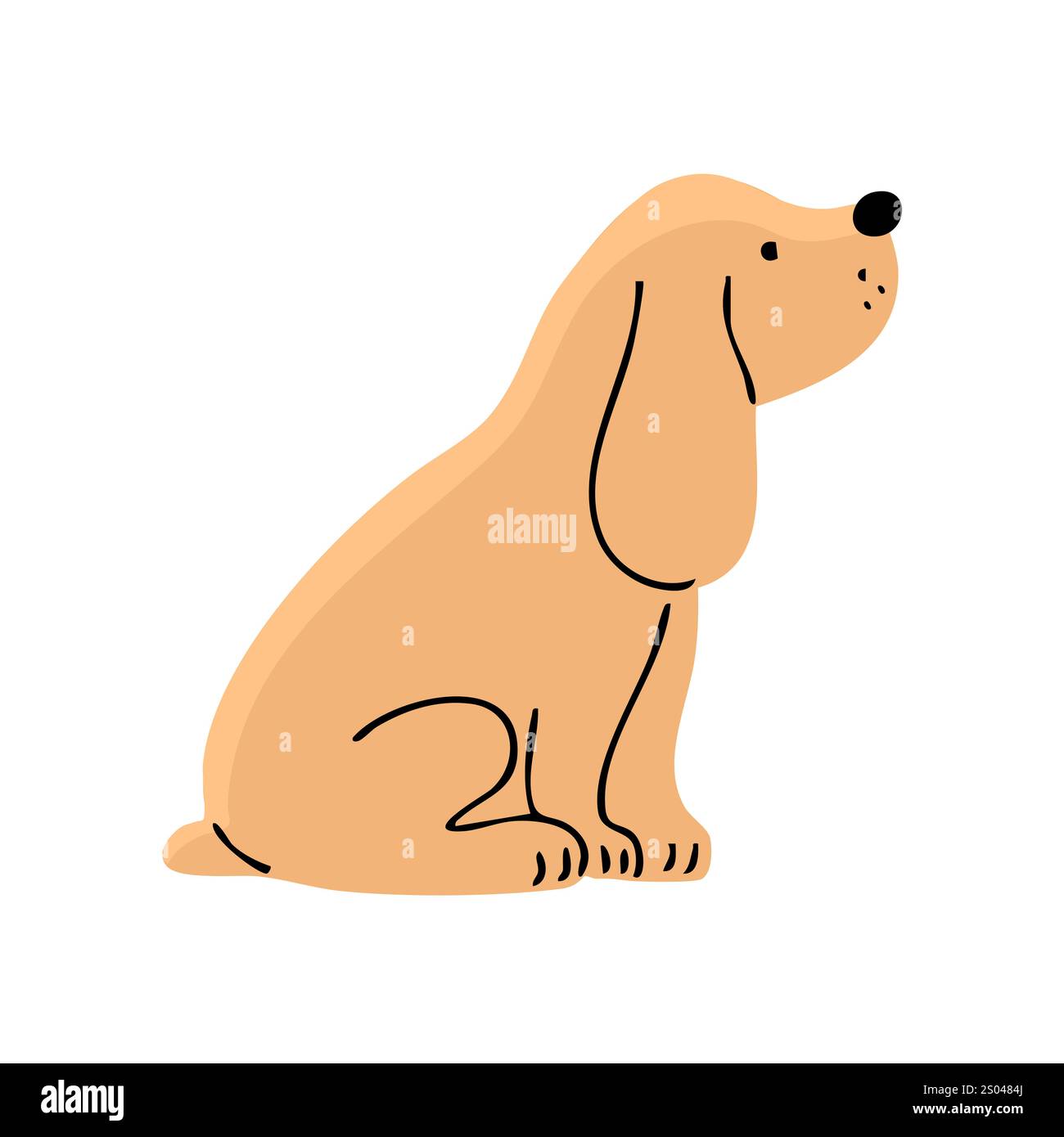 Cute spaniel dog. A pet is a friend. Little cheerful puppy. Animal ...