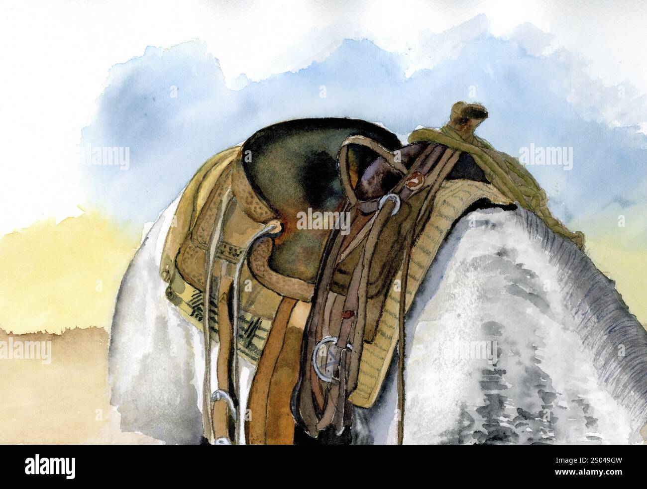 Watercolour painting, horse back of a grey horse with a western saddle ...