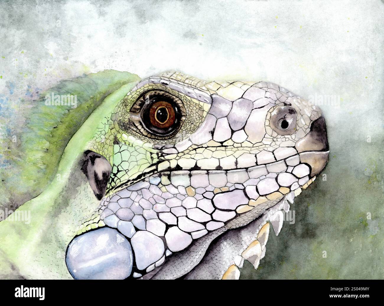 Watercolour painting of a lizard in shades of green and white, only the ...
