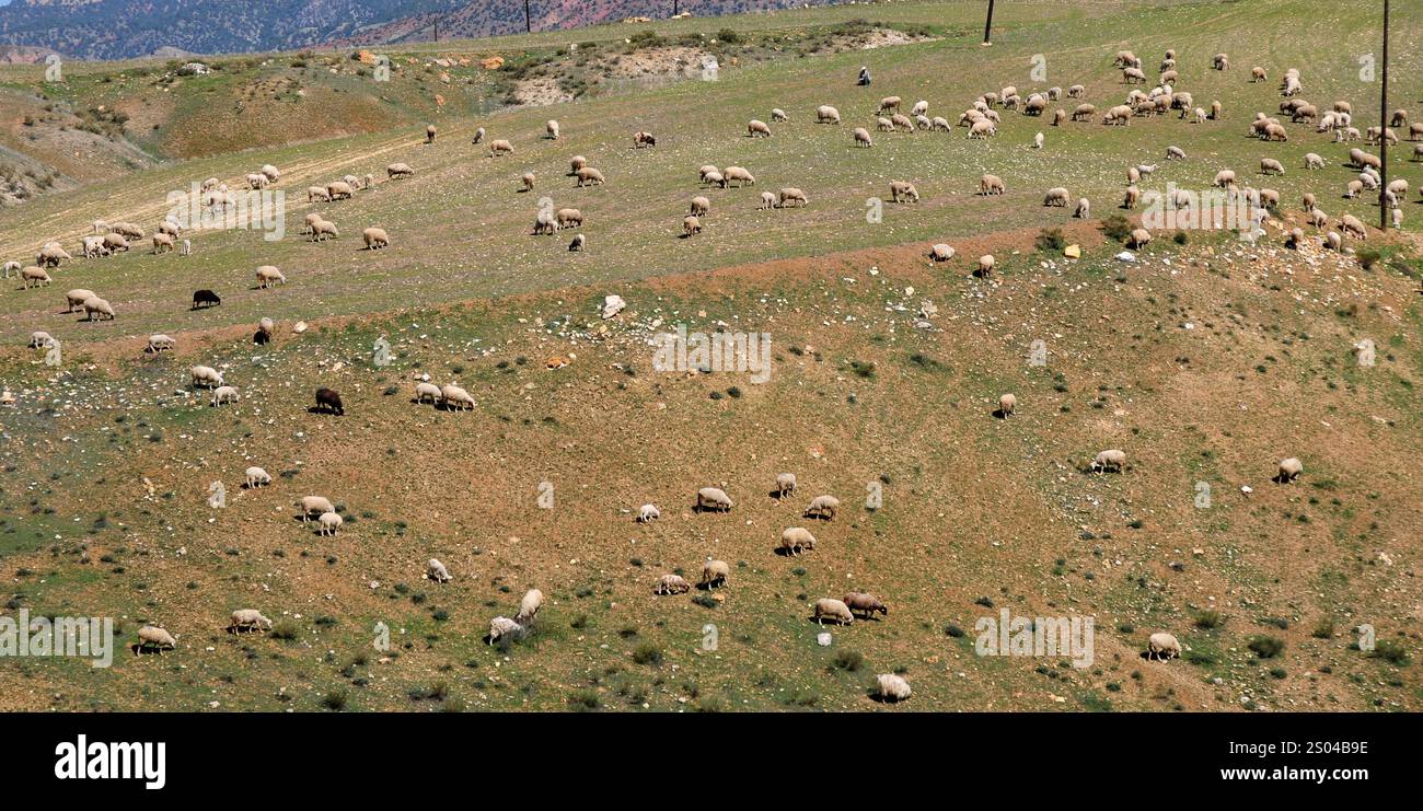 A road view from the rural areas of Ankara, Turkey Stock Photo - Alamy