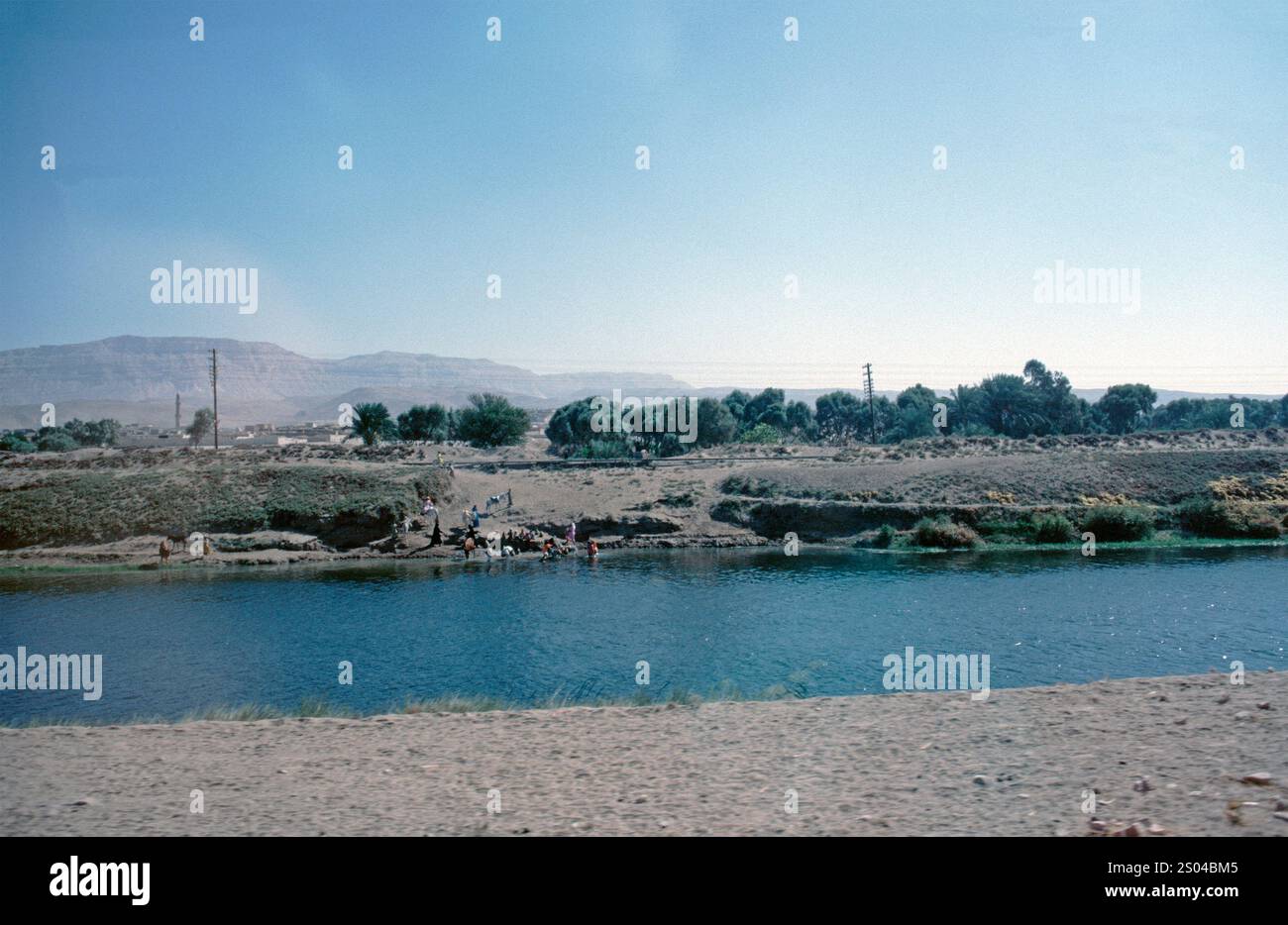 Lateral canal of River Nile, Nile Valley, Egypt, September 1989 Stock ...