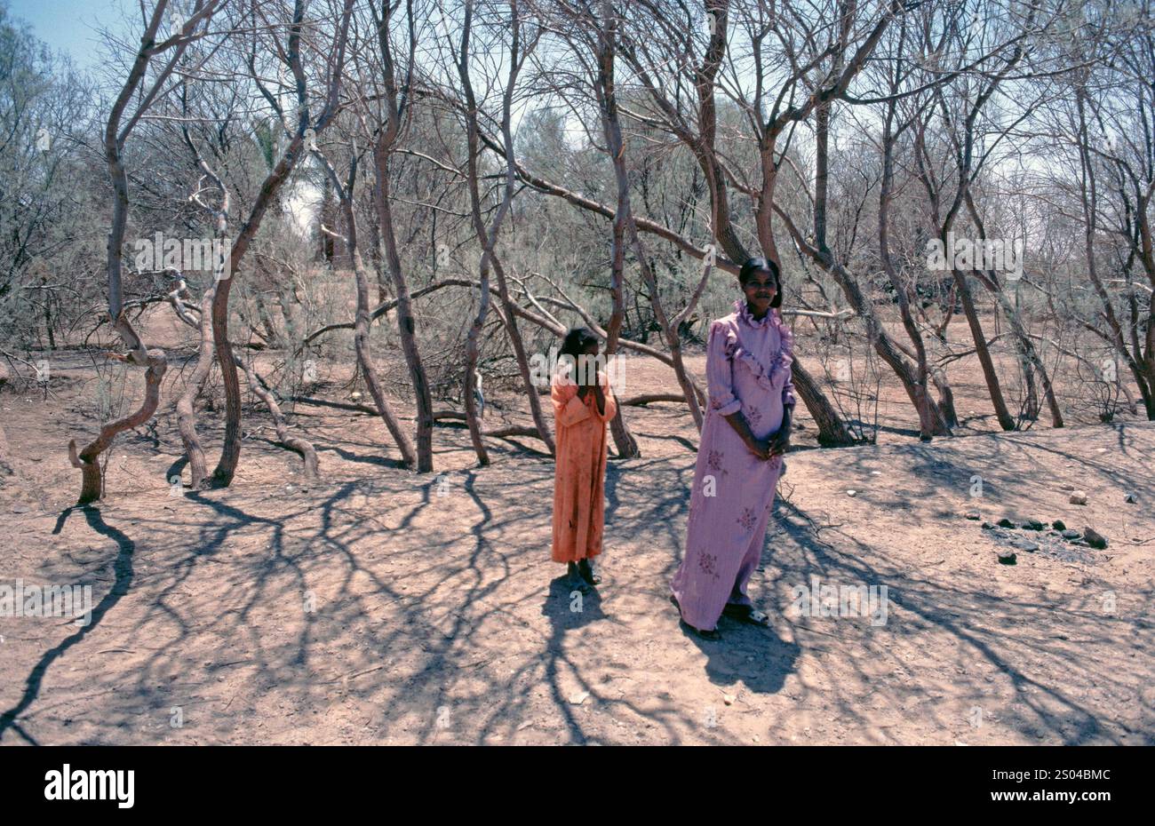 Ababda oasis hi-res stock photography and images - Alamy