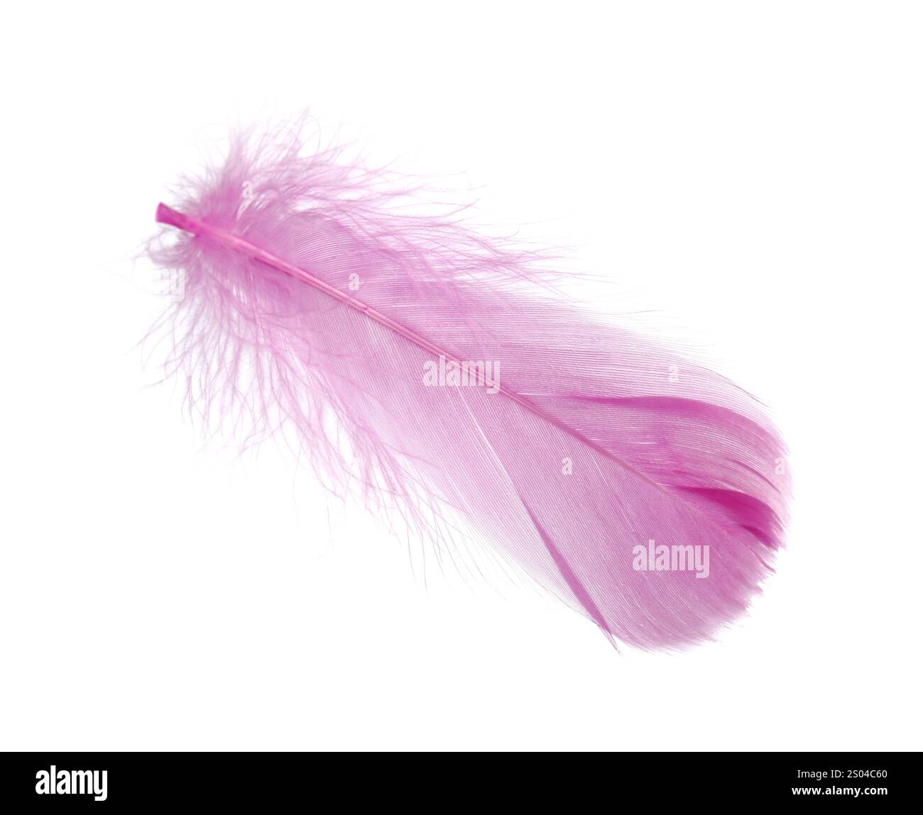 One beautiful fluffy feather Cut Out Stock Images & Pictures - Alamy