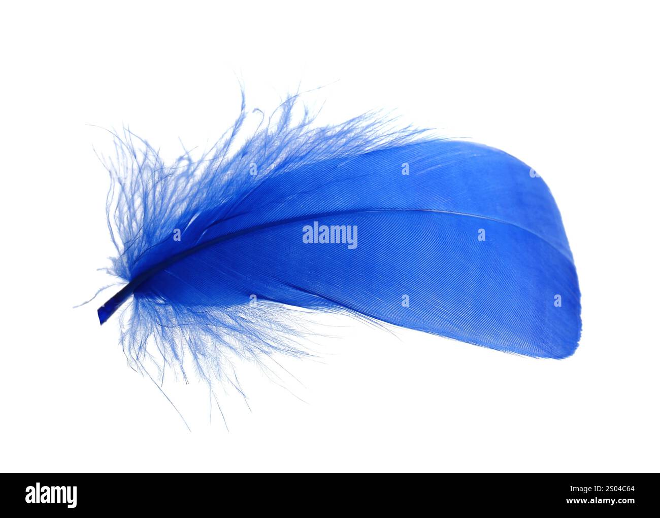 One beautiful fluffy feather Cut Out Stock Images & Pictures - Alamy