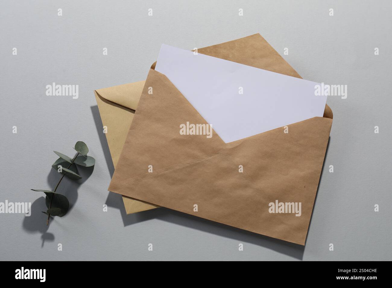 Kraft paper envelopes with letter and eucalyptus branch on grey ...