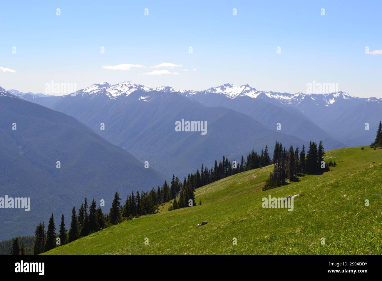 panorama view of Hurricane Ridge in Olympic National Park in Washington ...