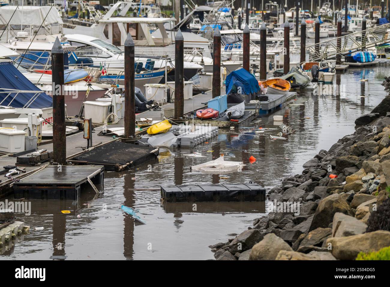 Trash and damaged boat parts float through Santa Cruz Harbor in Santa ...