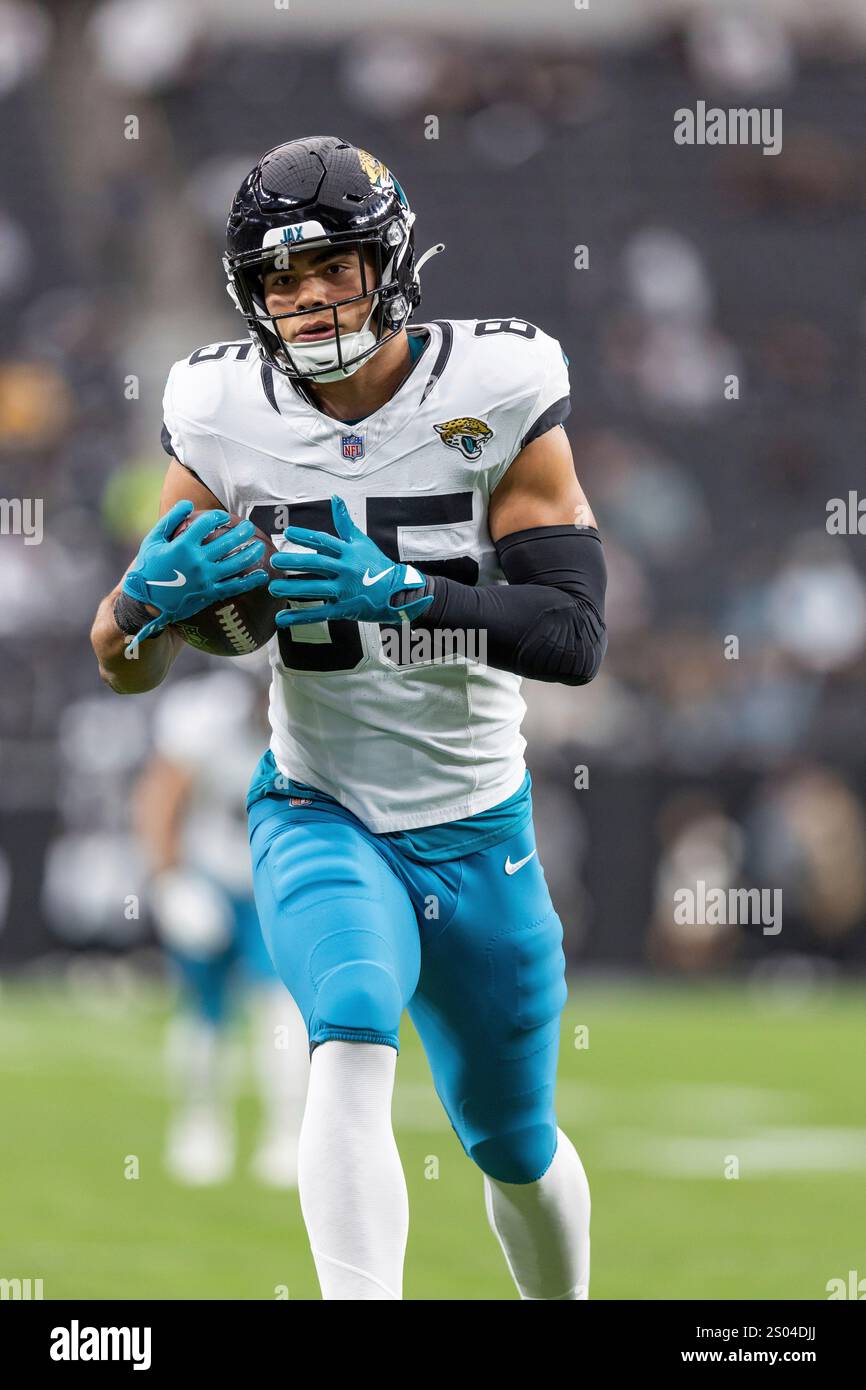 Jacksonville Jaguars tight end Brenton Strange (85) warms up before ...
