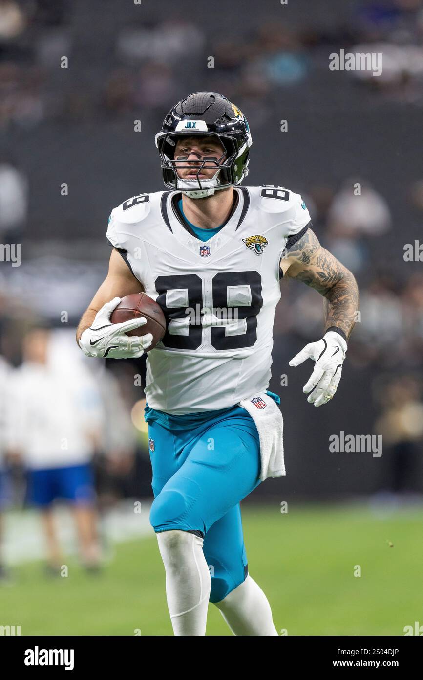 Jacksonville Jaguars tight end Luke Farrell (89) warms up before ...