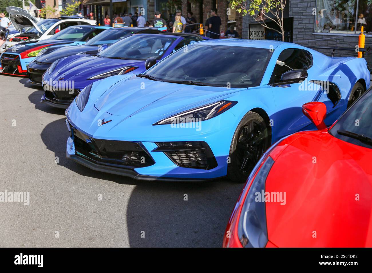 Two blue Chevrolet Corvette C8 sports cars on display at the Fast and ...