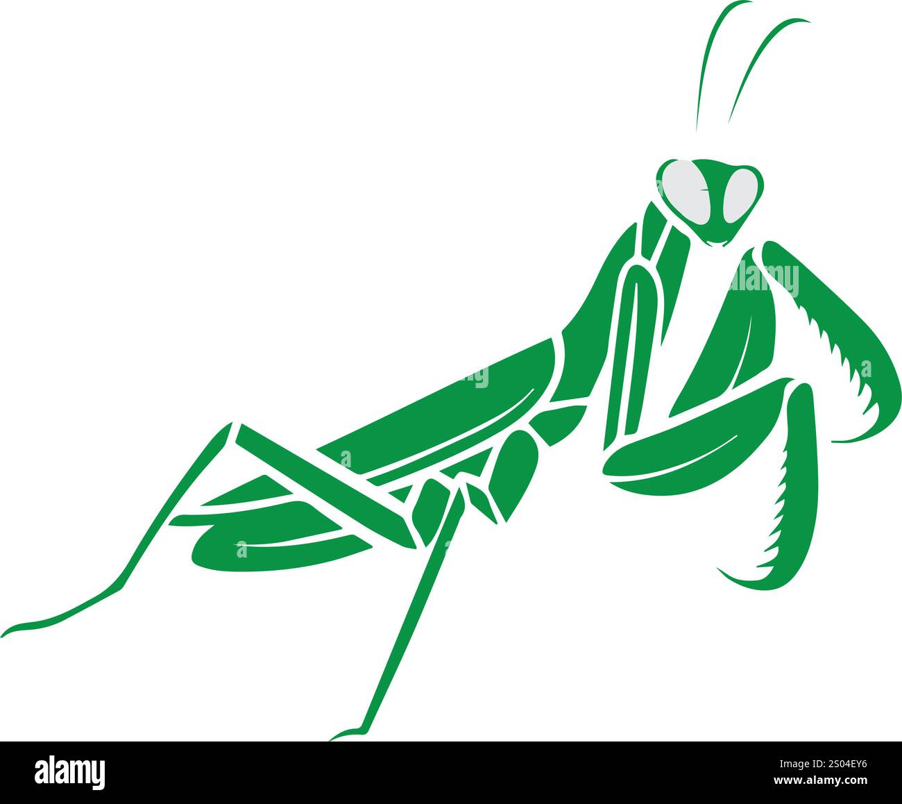 vector grasshopper animal illustration design Stock Vector Image & Art ...