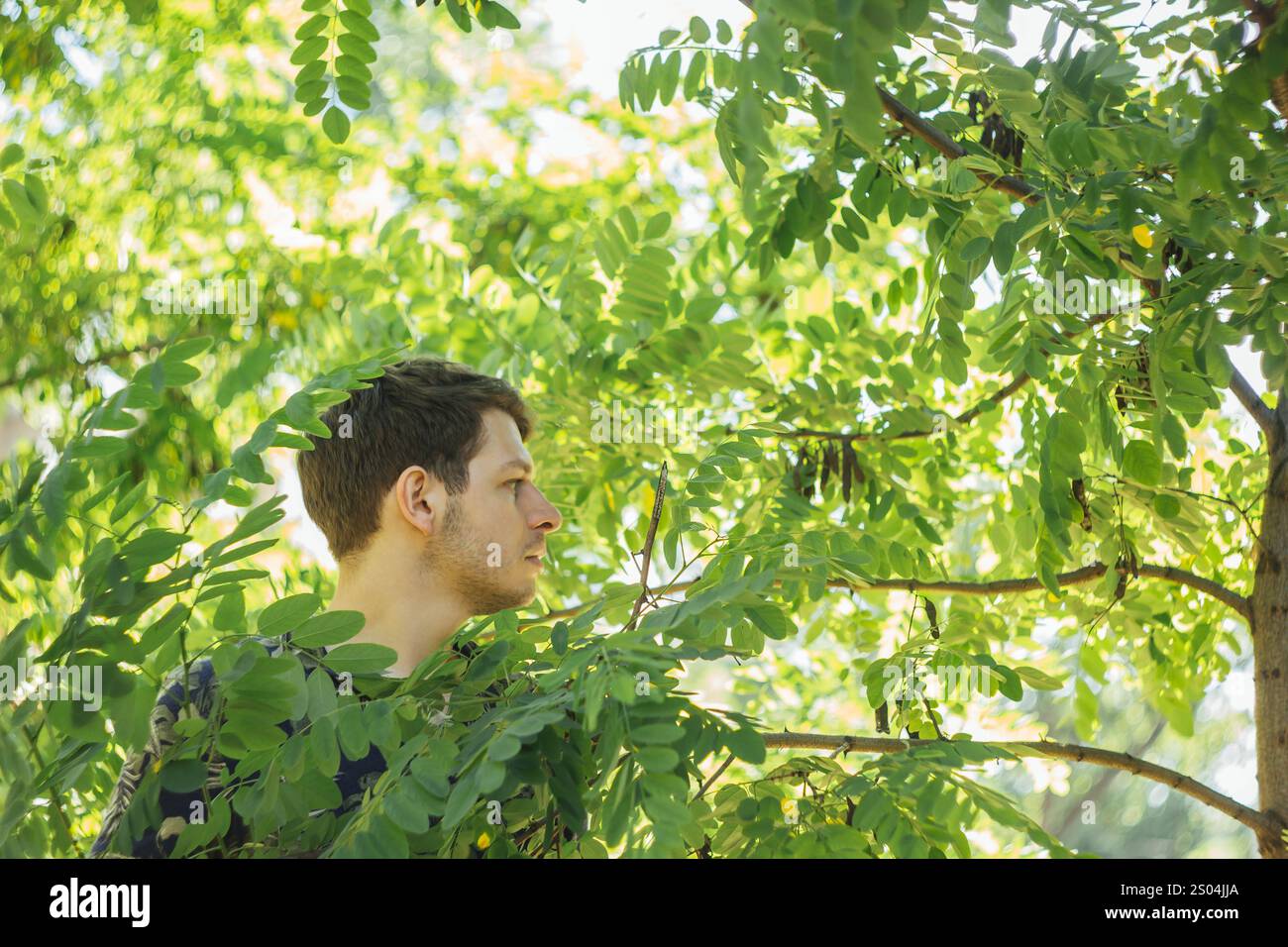 A young man stands in the middle of green nature, his face close-up ...