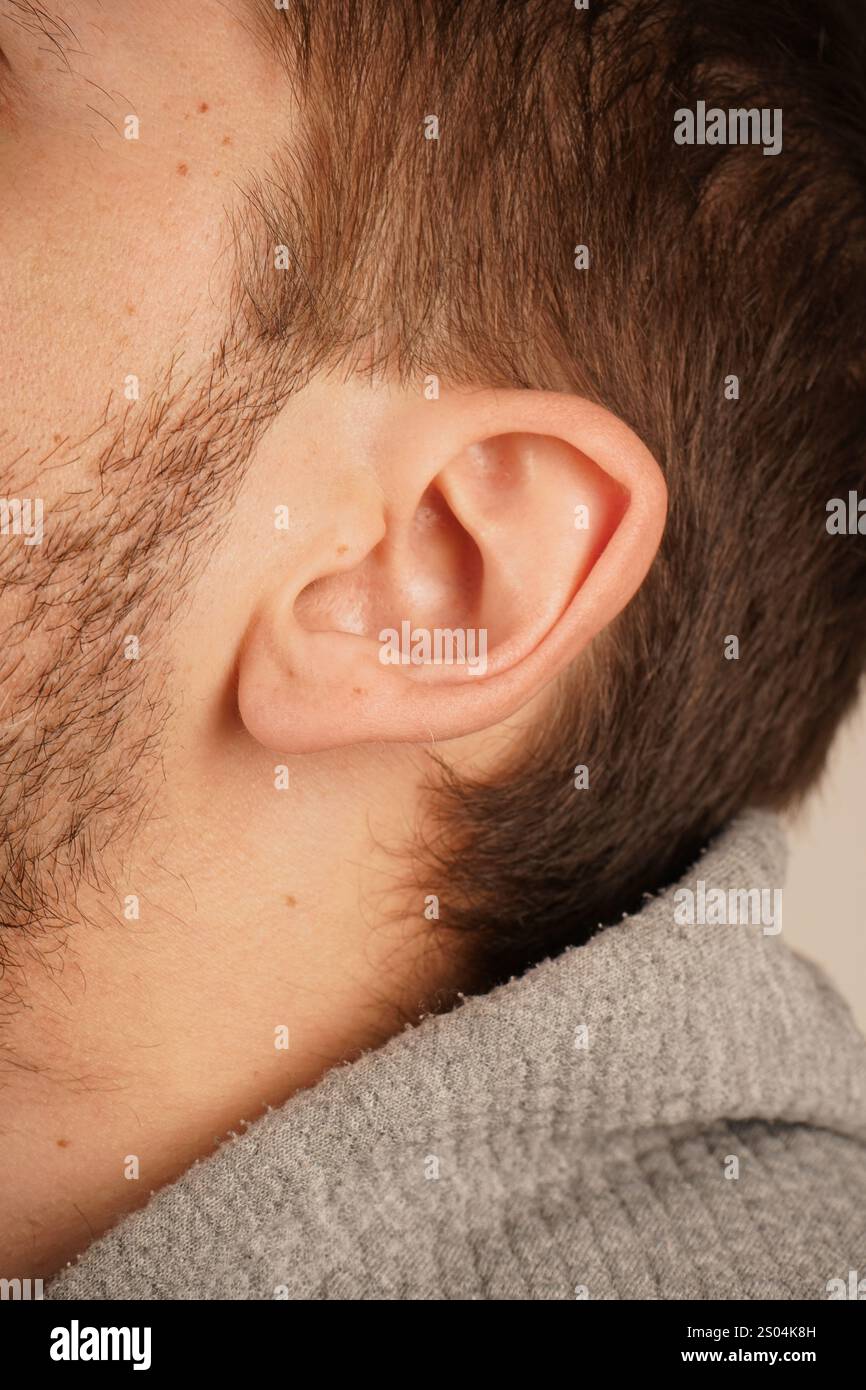 Close-up of a young man's ear in a gray sweater. A man with sideburns ...
