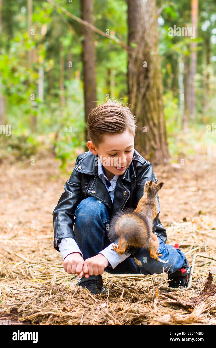 In the summer in the forest the boy feeds the squirrel with nuts. High ...