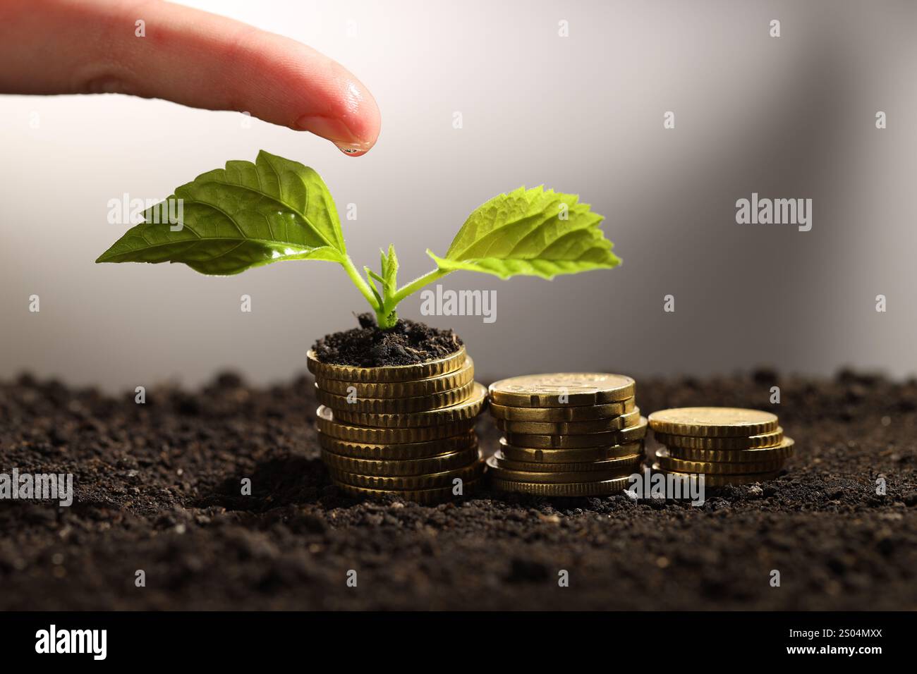 Money growth concept. Woman dripping water onto coins and sprout in ...