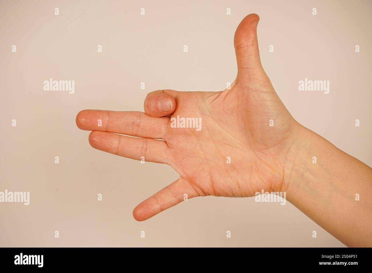 The fingers are shaped like an open dog mouth, creating a lively and ...