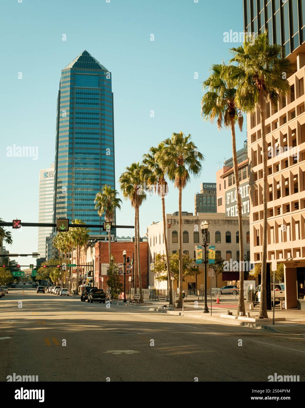 Palm trees and buildings along East Bay Street in downtown Jacksonville ...