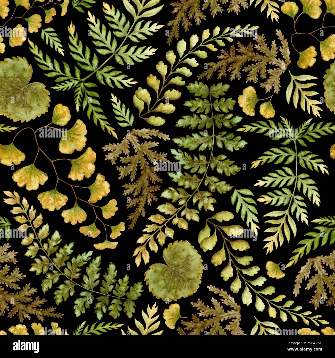 Fern leaves seamless pattern on black background. Hand drawn watercolor ...