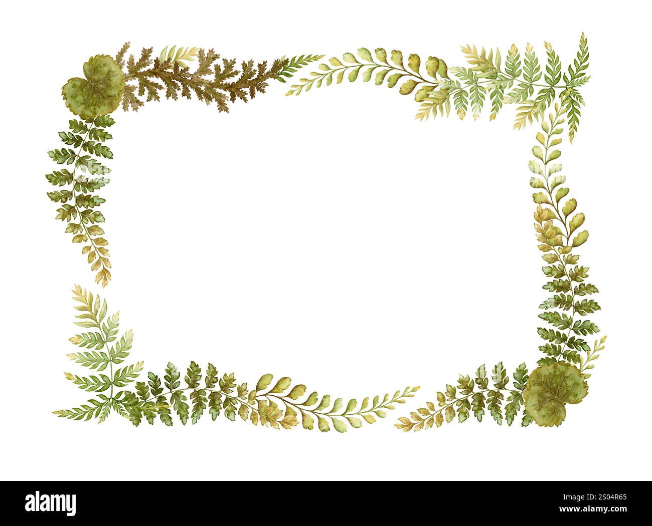 Rectangular wreath with fern leaves botanical card template in earth ...