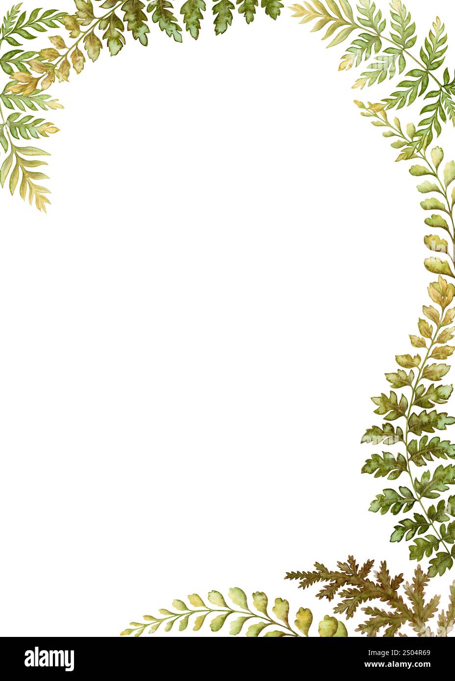 Rectangular card frame template with fern leaf botanical illustration ...