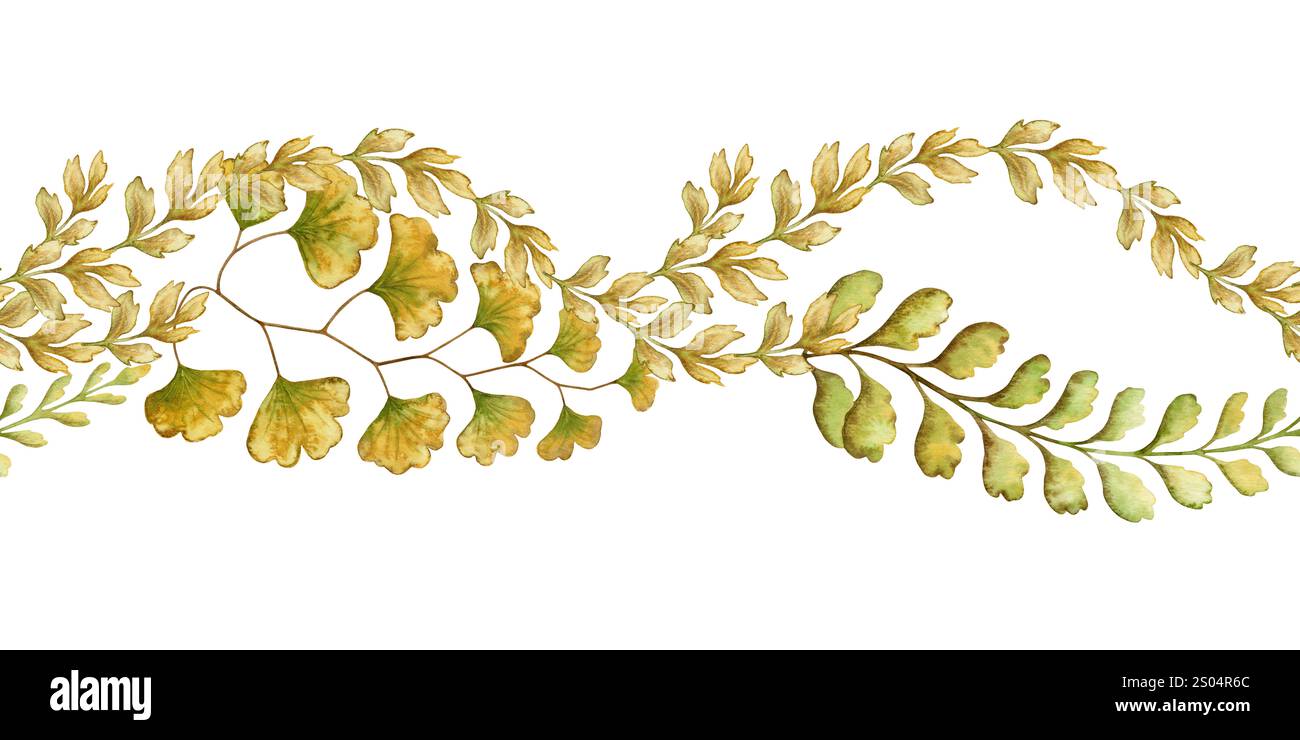 Fern leaf curved seamless border in the earth green tone. Hand drawn ...