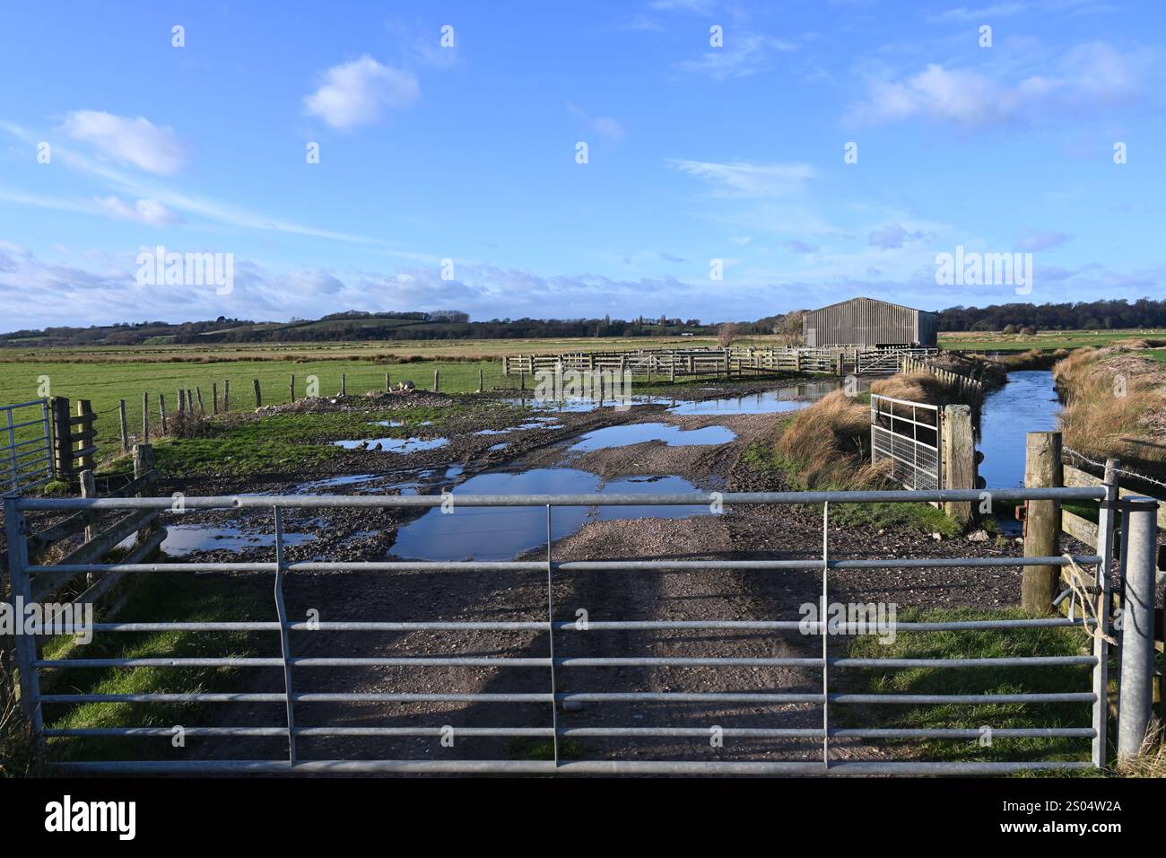 waterlogged farmland with metal farm gate and livestock shed Stock ...