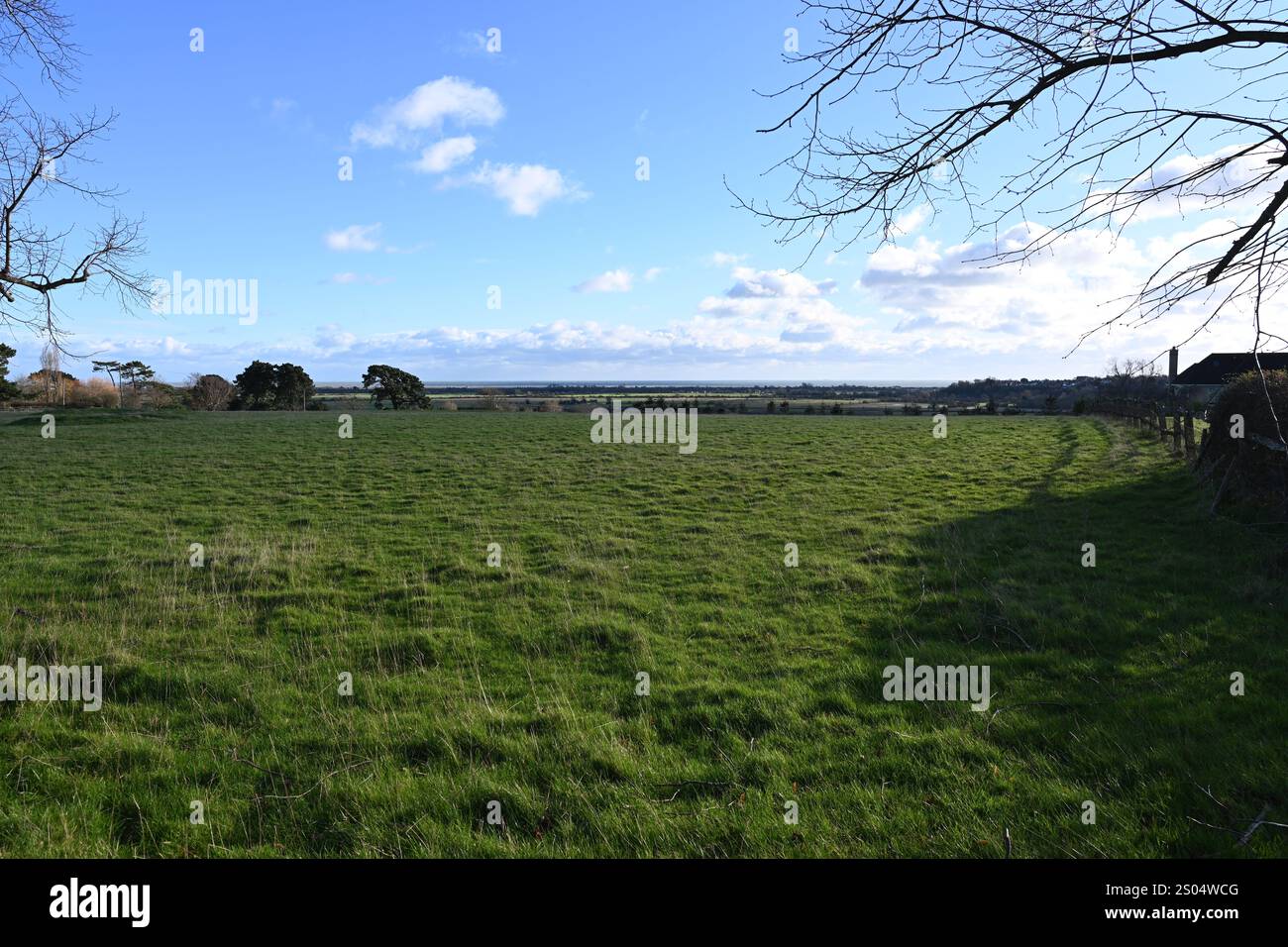lush green agriculture grass field stretching into the distance Stock ...