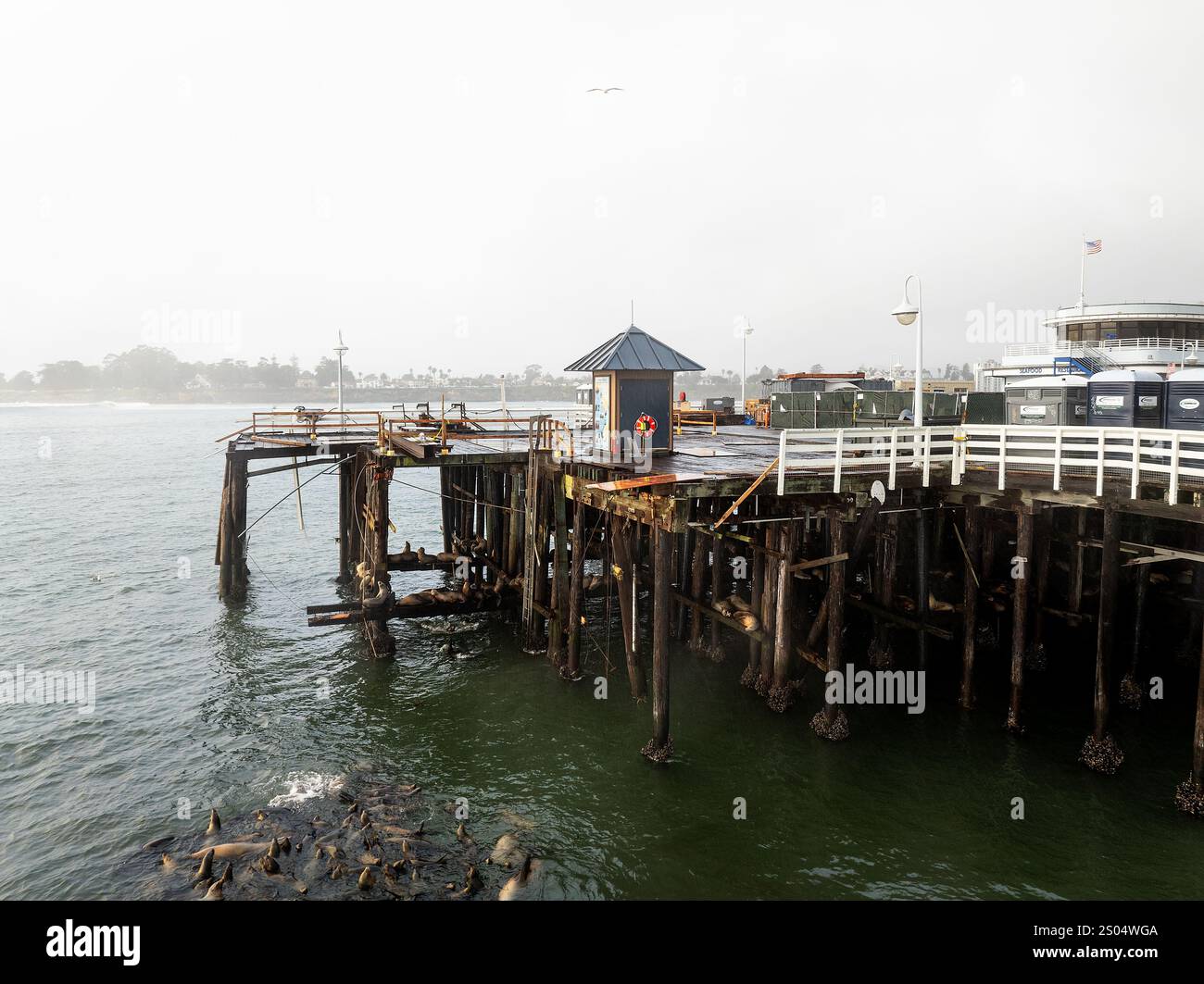 Santa Cruz, USA. 24th Dec, 2024. SANTA CRUZ, CA - DECEMBER 24: Aerial ...