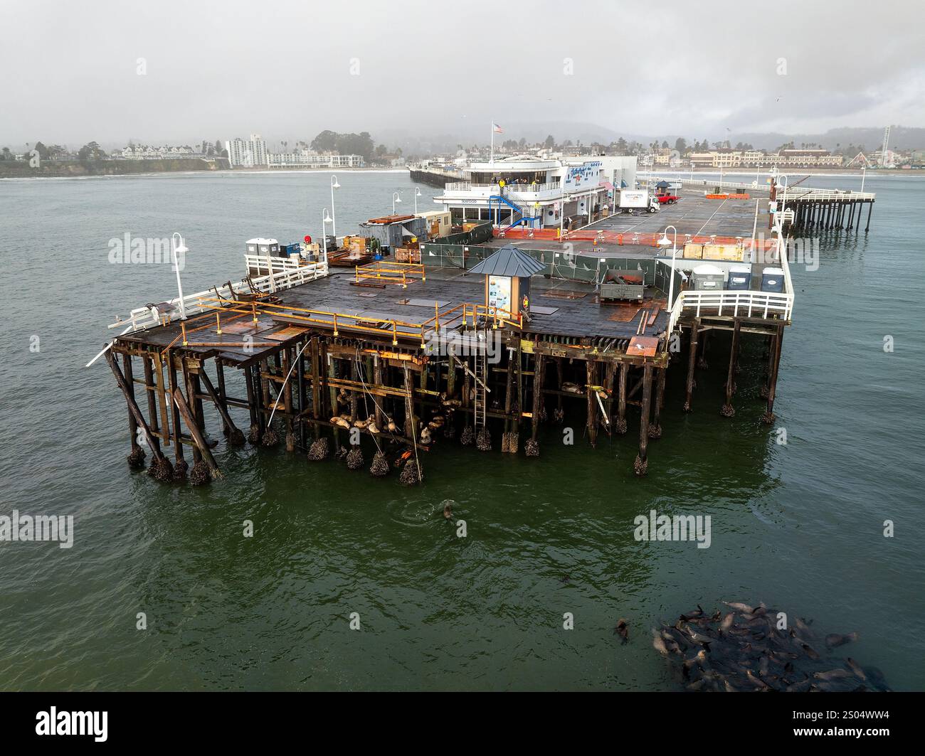 Santa Cruz, USA. 24th Dec, 2024. SANTA CRUZ, CA - DECEMBER 24: Aerial ...