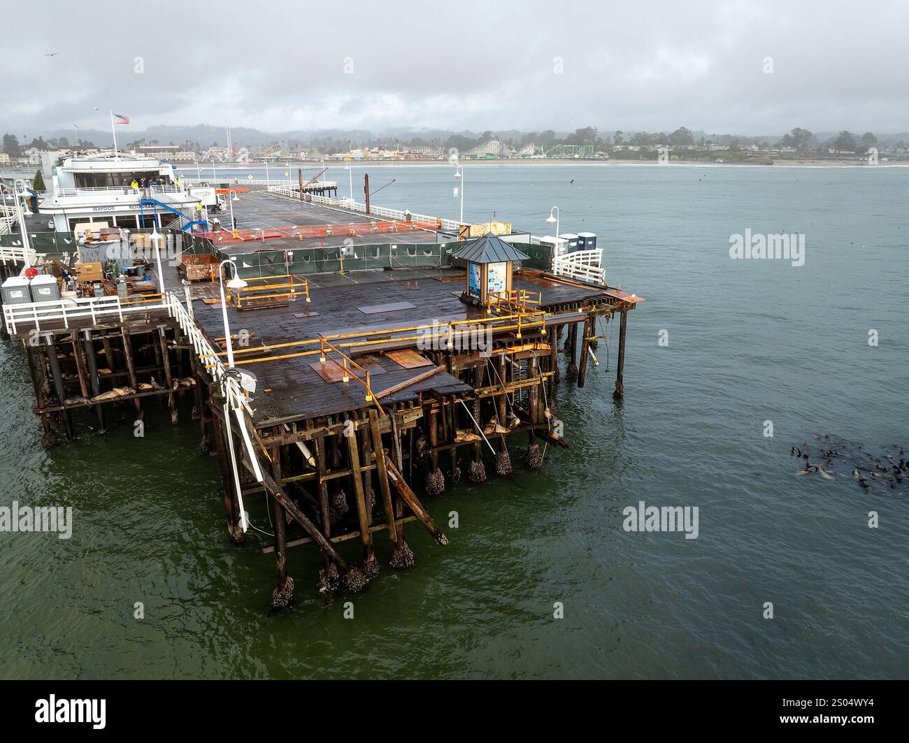 Santa Cruz, USA. 24th Dec, 2024. SANTA CRUZ, CA - DECEMBER 24: Aerial ...