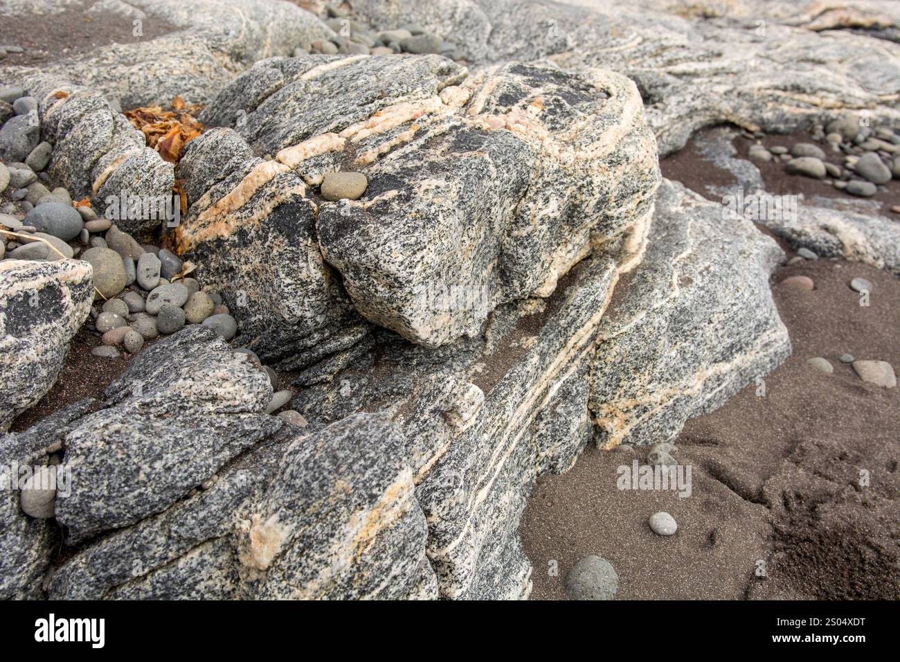 This close-up image showcases granite stones scattered along a beach in ...