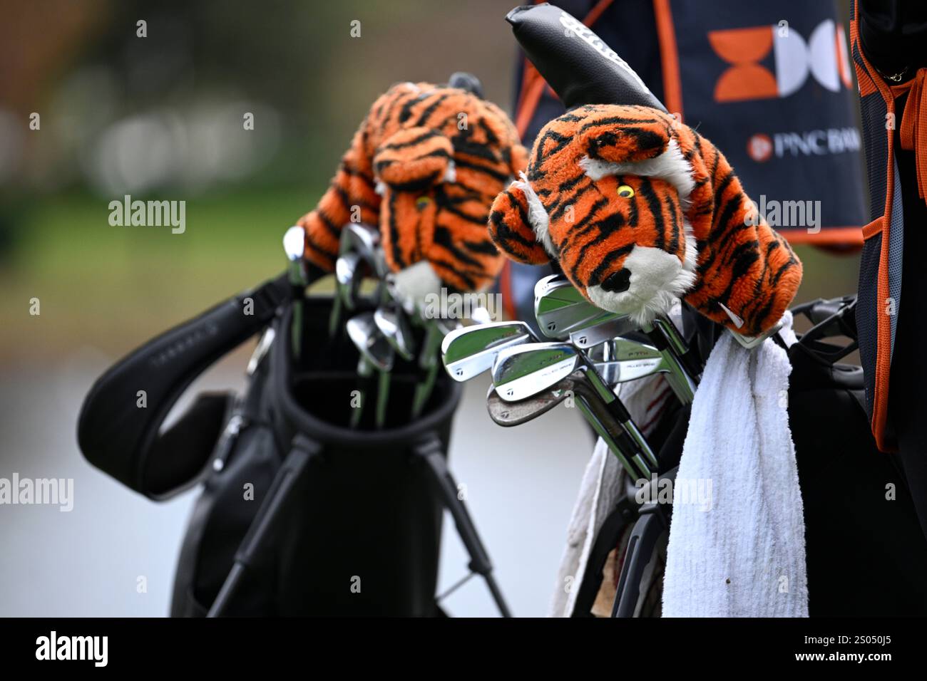 Tiger club head covers are viewed in the bags of Charlie Woods, right ...