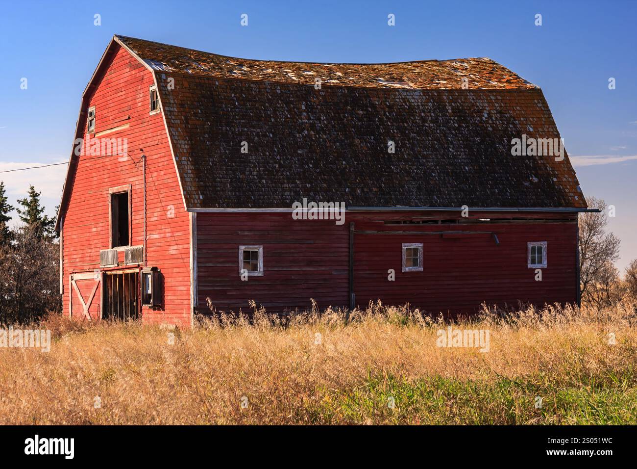 A red barn with a white roof sits in a field. The barn is old and has a ...