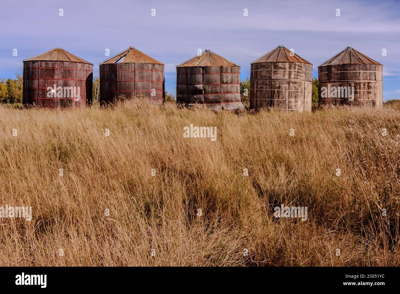 A field of empty grain silos. The silos are old and rusted. The field is dry and barren Stock ...