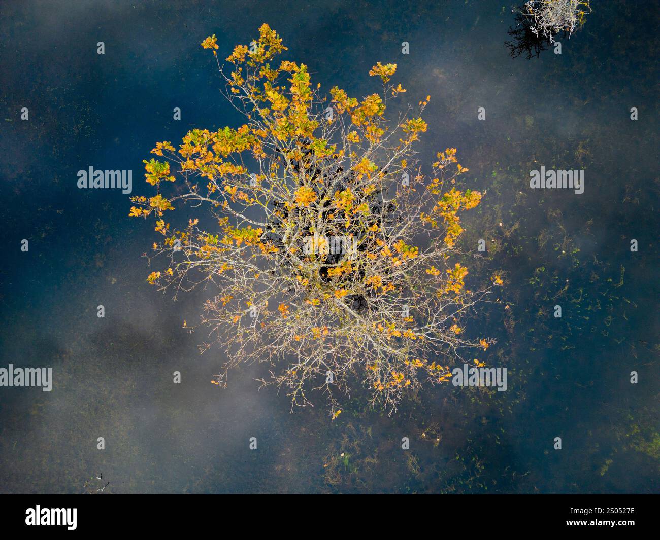 Aerial view of high groundwater levels due to frequent rain in the ...
