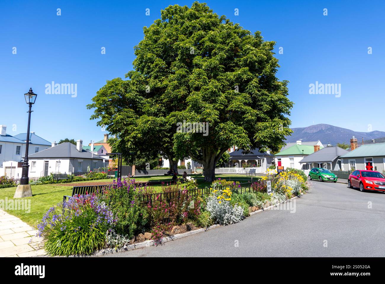 Arthur Circus Battery Point Hobart, village green with plants and ...