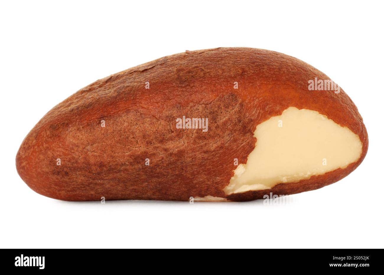 One tasty Brazil nut isolated on white Stock Photo - Alamy