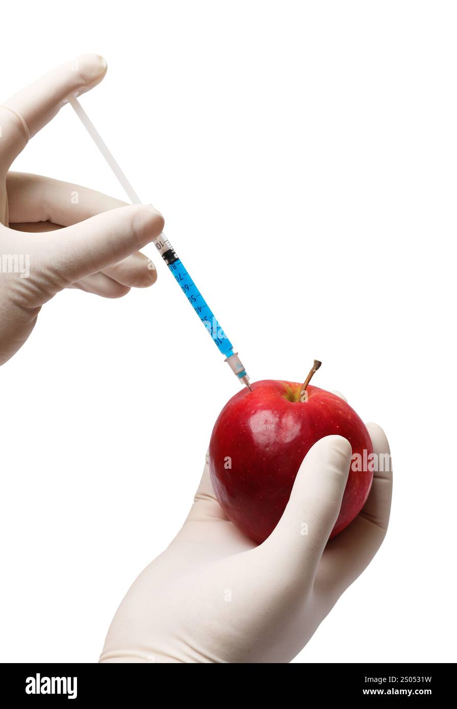 GMO concept. Scientist injecting something into fresh apple against ...