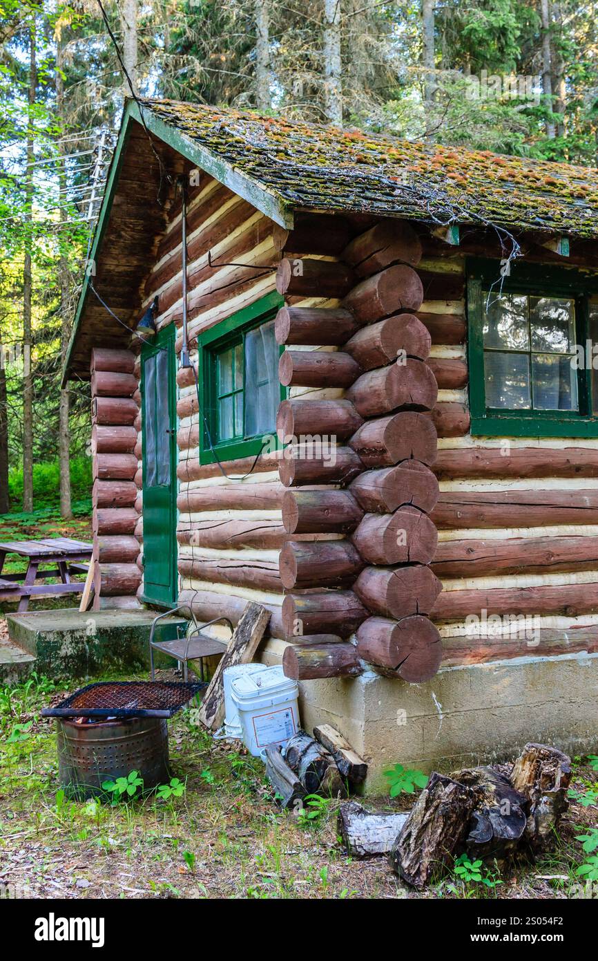A log cabin with a green door and windows. The cabin is surrounded by ...