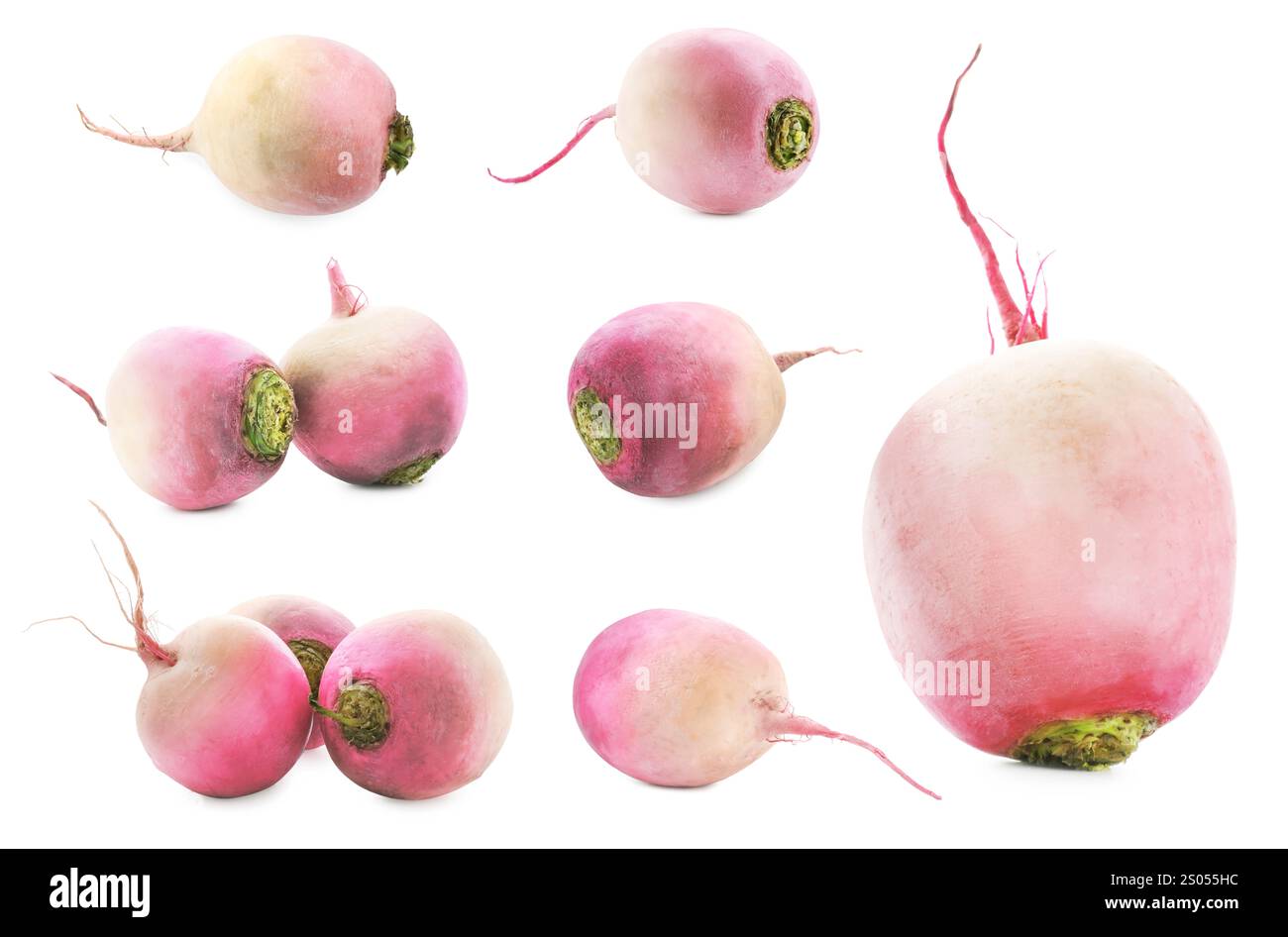 Fresh white turnips on hi-res stock photography and images - Alamy