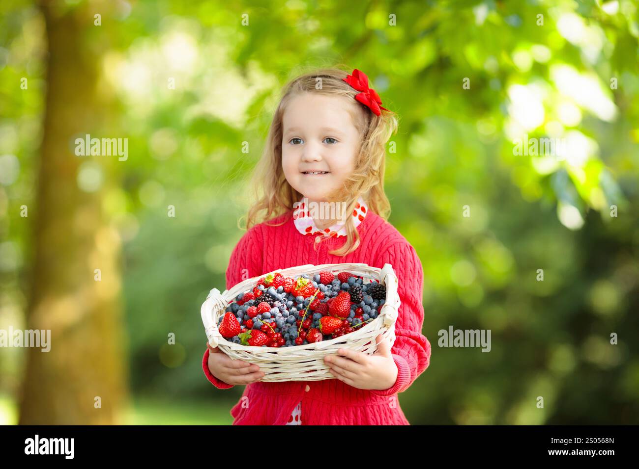 Child picking berries on a farm. Little girl eating strawberry ...
