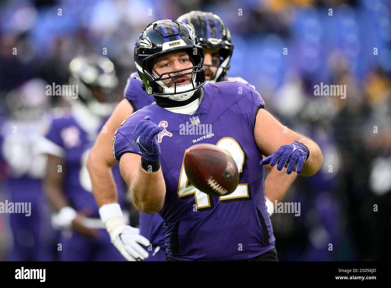 Baltimore Ravens fullback Patrick Ricard (42) works out before an NFL ...