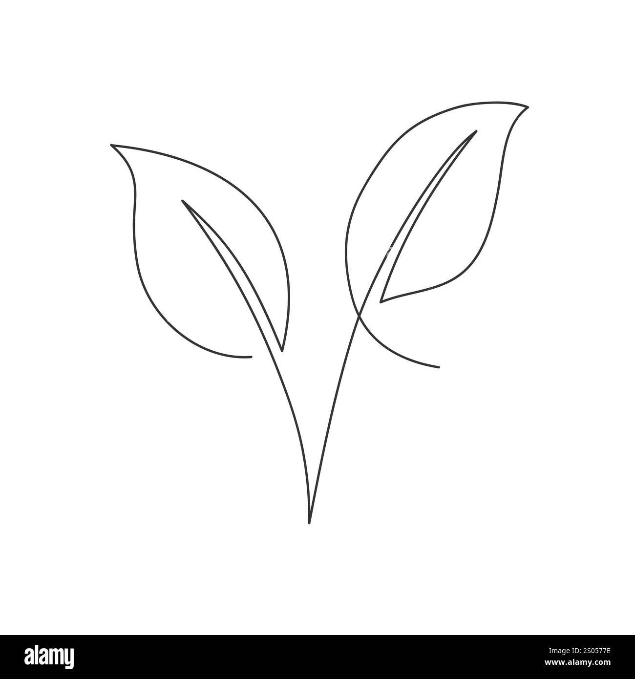 Leaf single continuous one line out line art drawing .Vector ...