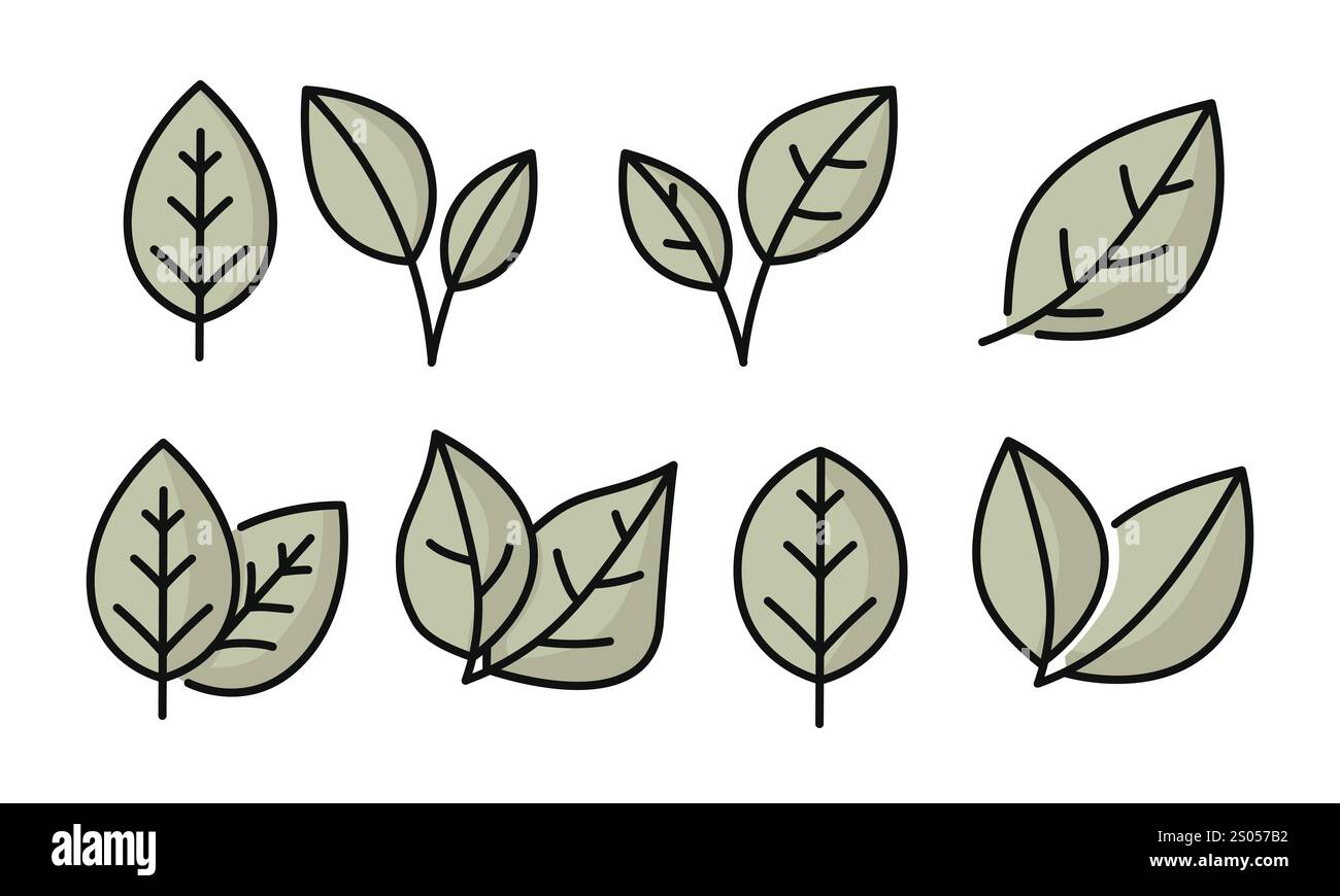 Stylish green-filled outline leaves and branches icons for eco ...