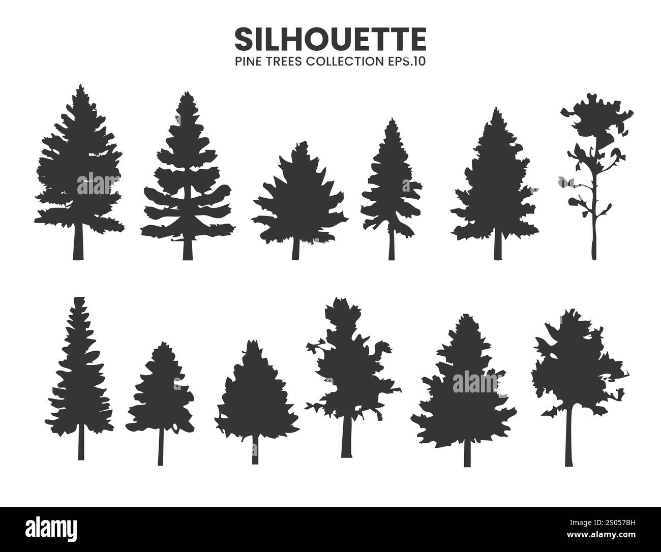A detailed vector collection of pine tree silhouettes, perfect for ...