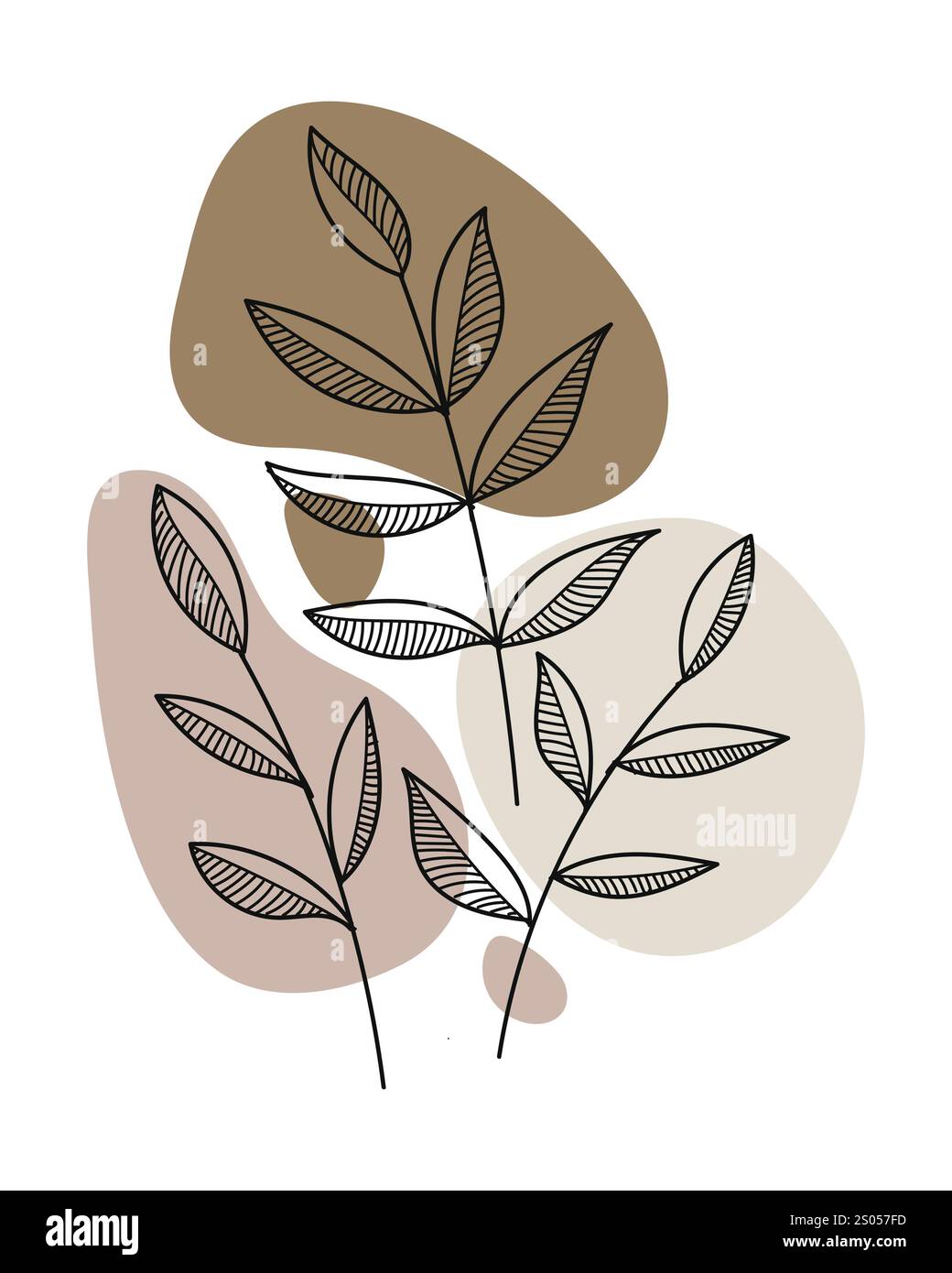 Hand-Drawing Leaves and branches in black line art with Abstract Stones ...