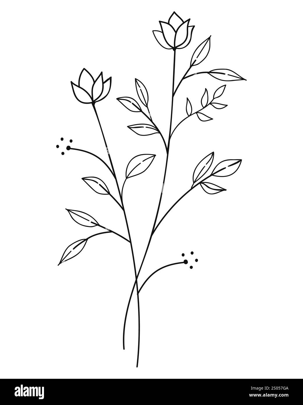 Elegant hand- drawn twigs with leaves in a botanical vector ,perfect ...