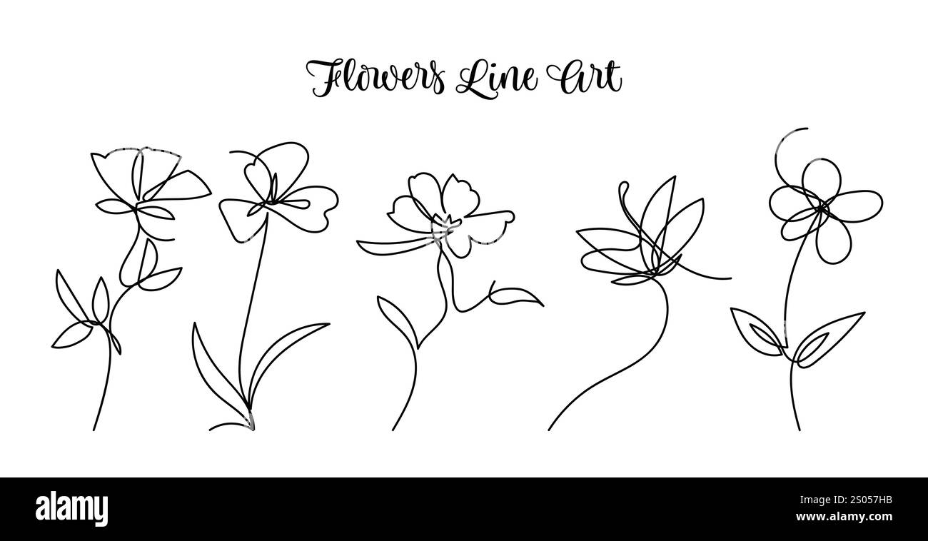 One continuous single line art flowers blossom hand-drawing collection ...